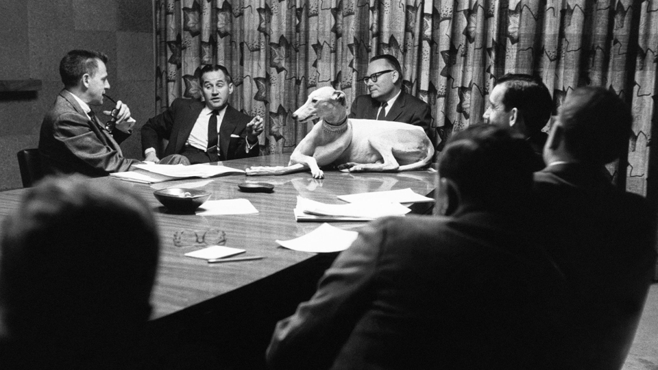 Grey Selected As Advertising Agency Of Record For Norton